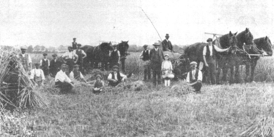 Elmswell Hall | Elmswell History Group