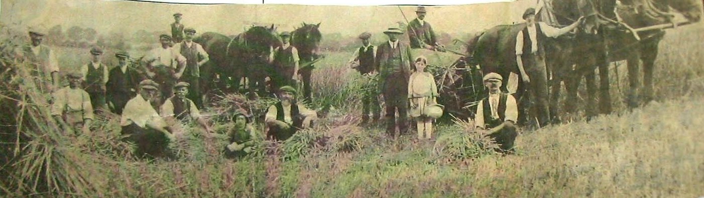 Elmswell Hall | Elmswell History Group